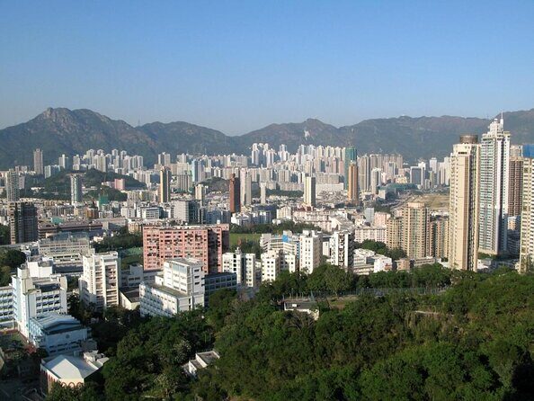 Kowloon Tour + Fun Tasting () | 100+ booked - The Tasting Experience: Snacks, Noodles, and Drinks