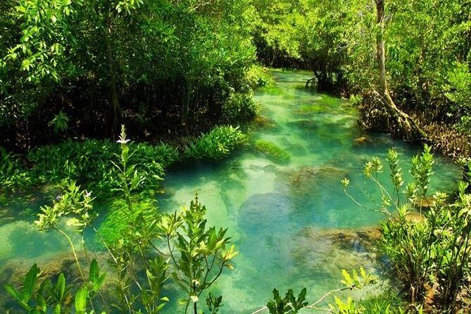Krabi Jungle Tour:Krabi Hot Springs Waterfall,Emerald Pool and Tiger Cave Temple - Analyzing the Value