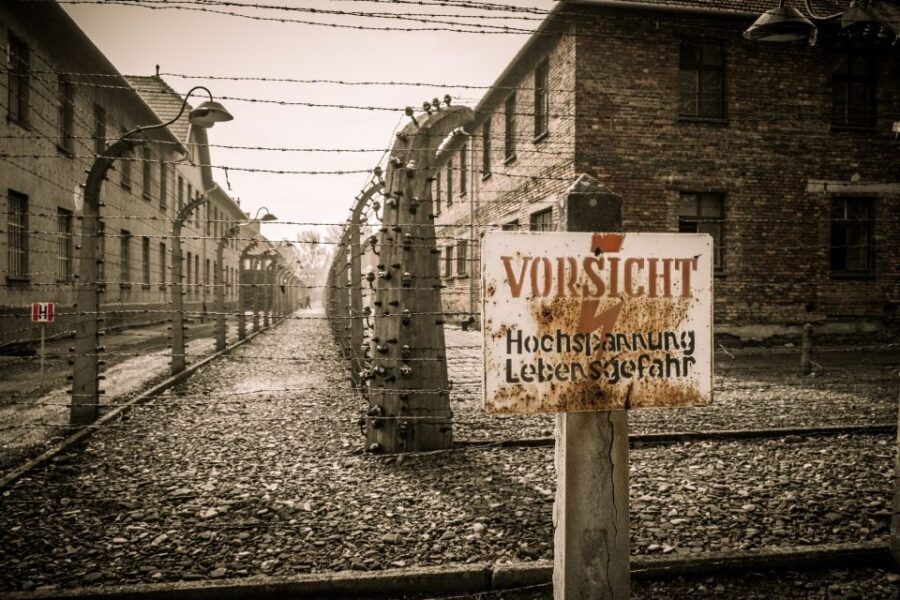 Krakow and Auschwitz Small-Group Tour from Warsaw with Lunch - A Deep Dive into the Experience