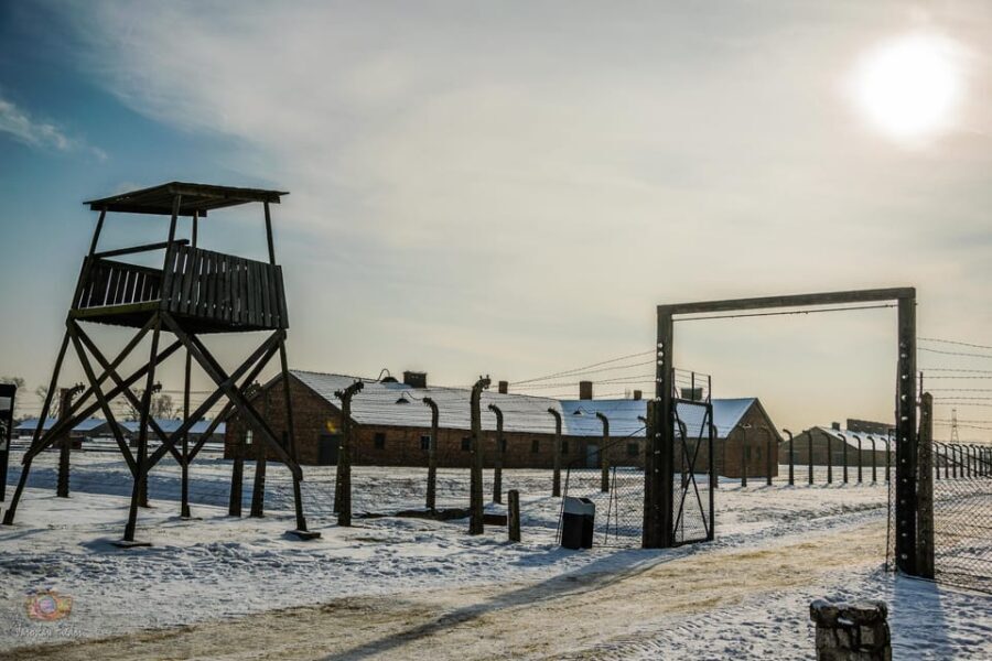 Kraków: Auschwitz-Birkenau Private Tour & Transportation - Tour Breakdown: What to Expect at Each Stop