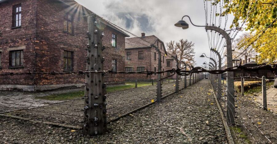 Kraków: Auschwitz-Birkenau & Salt Mine Full-Day Guided Tour - Who Should Consider This Tour?