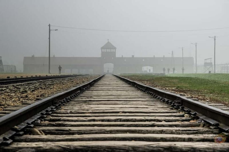 Krakow: Last Minute Auschwitz-Birkenau Guided Tour - Final Words: Who Should Consider This Tour?
