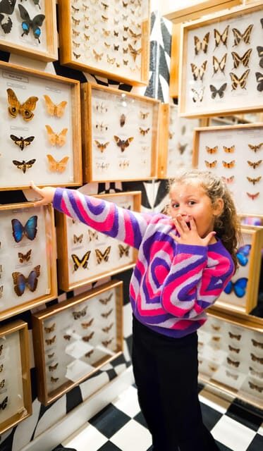 Krakow: Museum of Living Butterflies 2+1 - Why It’s Worth Your While