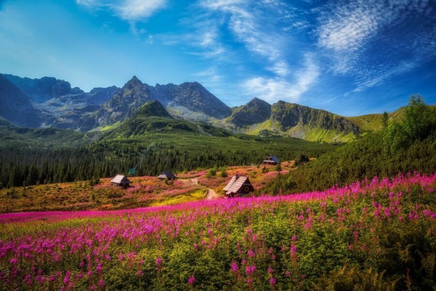 Krakow: Tatra Mountains and Zakopane Full-Day Private Tour - What Travelers Say