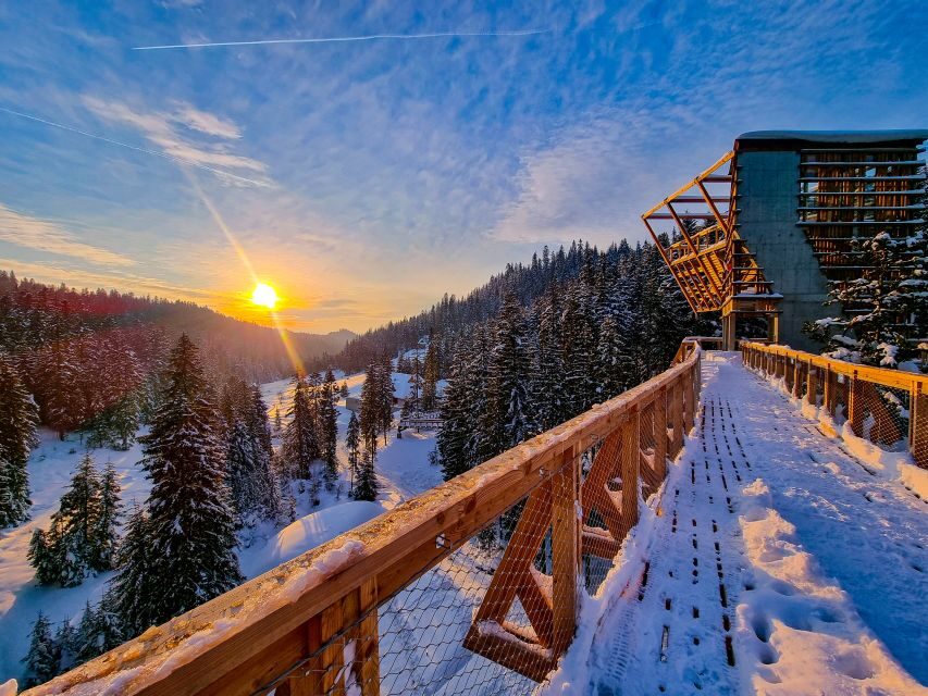 Krakow: Zakopane, Thermal Baths and Gorce Park Treetop Walk - Practical Details and Considerations