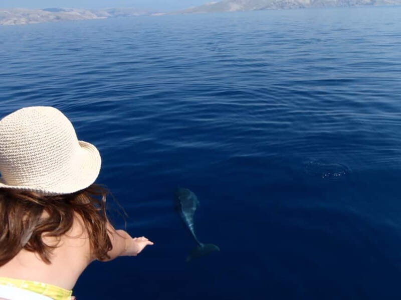 Krk: Boat Trip to Rab & Pag with Sightseeing & Swimming - Starting Point and Duration