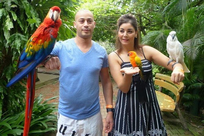 Kuala Lumpur Bird Park, Butterfly Farm And Taman Orkid Include All Entrance - Itinerary Breakdown: What to Expect