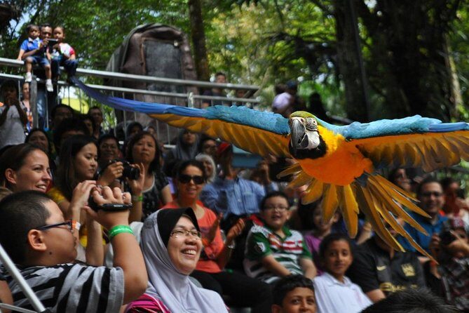 Kuala Lumpur Garden, Park and Museum Tour with Lunch - Analyzing the Value