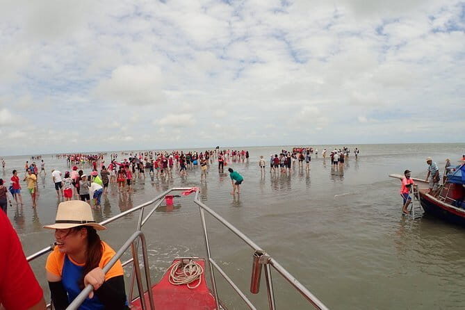 Kuala Selangor Famous Sky Mirror(with transfers) - The Itinerary and What to Expect