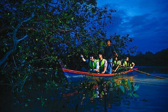 Kuala Selangor Fire Fly Tour - Sharing - The Value of the Kuala Selangor Fire Fly Tour