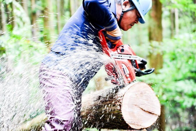Kuma Valley E-Bike Adventures - The Sum Up