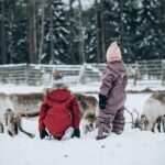 Kuusamo: Reindeer Sleigh Ride and Farm Visit - Detailed Itinerary & What to Expect
