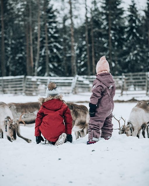 Kuusamo: Reindeer Sleigh Ride and Farm Visit - Detailed Itinerary & What to Expect