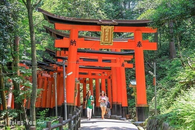 Kyoto & Nara Private Day Tour with English Speaking Driver - Who Should Consider This Tour?