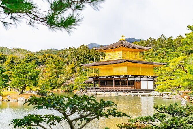 Kyoto Private Tour with National Licensed Guide from Osaka - Who Will Love This Tour