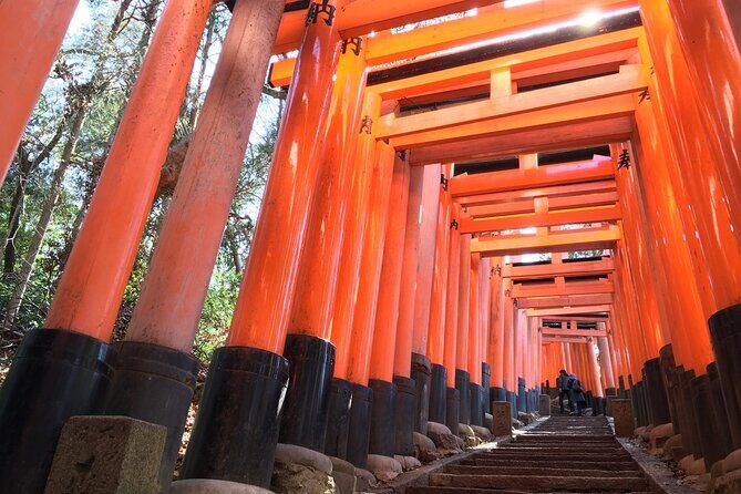 Kyoto Private Tour with National Licensed Guide - What We Love About This Tour
