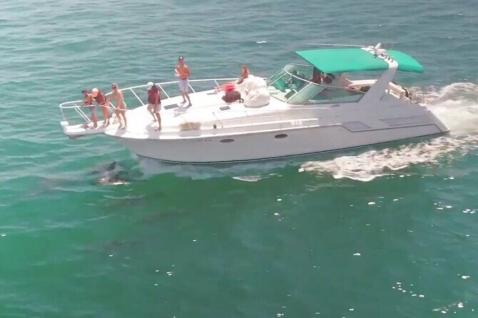 LA: Birthday Special Private Yacht (1 ticket covers 1-6 people) - Who should consider this experience?