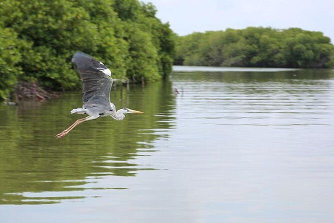 Lagoon Escapes Negombo Day Trip - Practical Tips for Your Trip