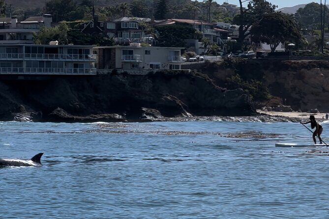 Laguna Beach Stand Up Paddle Activity - Practical Details and Logistics