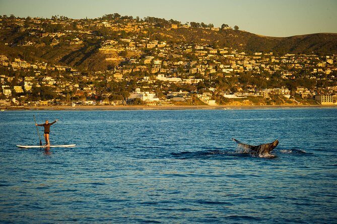 Laguna Beach SUP Lesson and Tour - What Makes This Tour Stand Out?