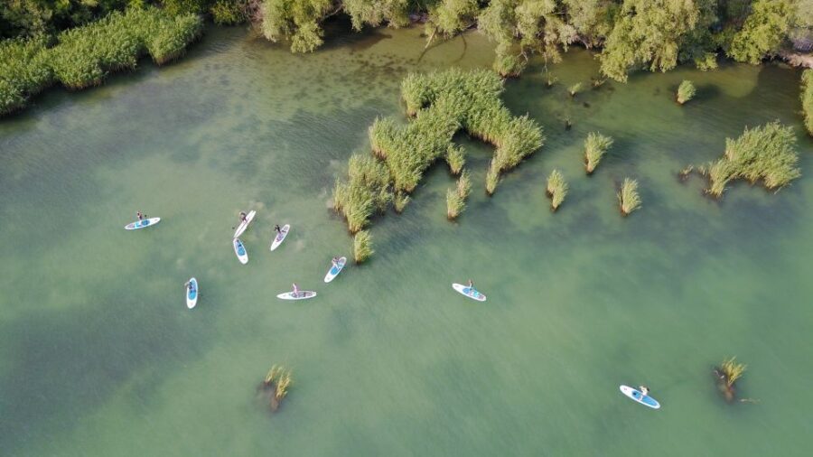 Lake Balaton: Paddle Board Tour of Tihany National Park - What to Expect During the Tour