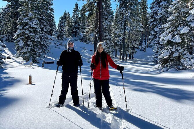 Lake Tahoe-Hike Year Round With a Local - Detailed Itinerary and What to Expect