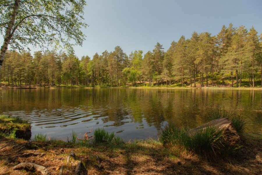 Lake walk and campfire - Starting Point: Meeting Near Backstube Opera