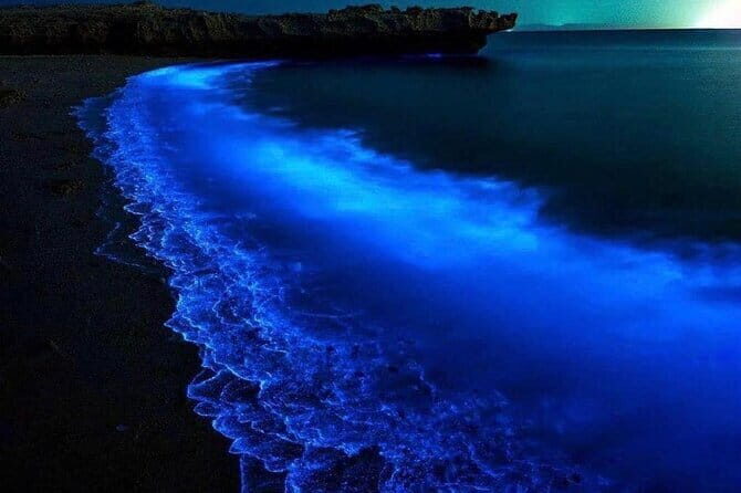 Lan Ha Bay Sunset and Plankton Bioluminescence Night Kayaking - Who Should Consider This Tour?