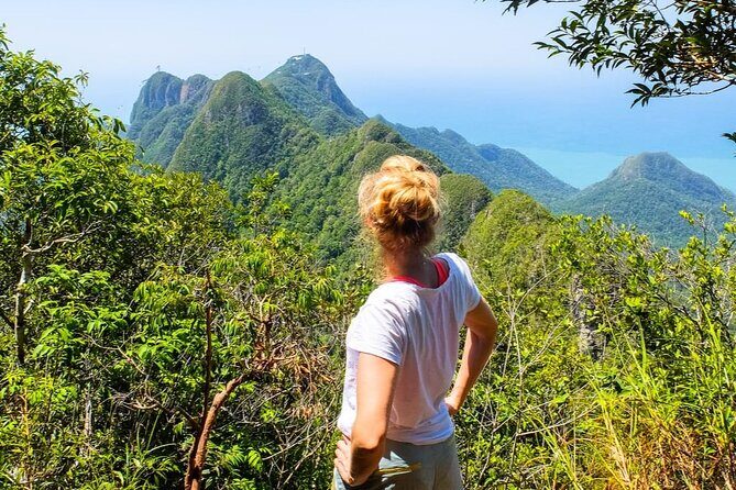 Langkawi Rainforest Jungle Trekking Tour with Private Pickup - Who Should Book This Tour?