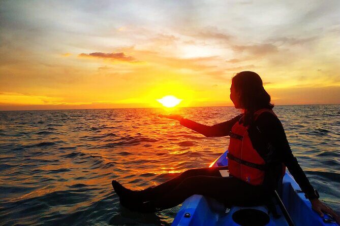 Langkawi Sunset Mangrove Kayak - Who Is This Tour Best For?
