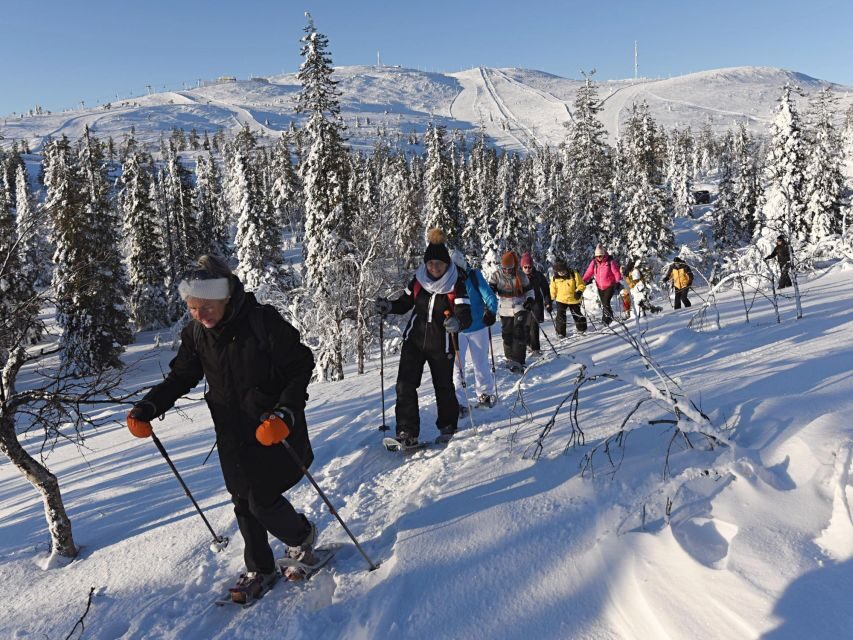 Lapland Levi: Panoramic snowshoeing - Detailed Itinerary