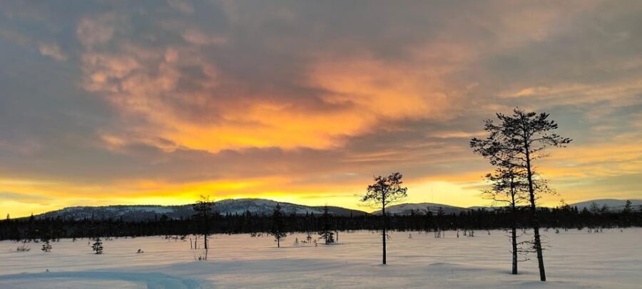 Lapland: Private VIP 7h Snowmobile Tour with Local Guide - Practical Details and Tips