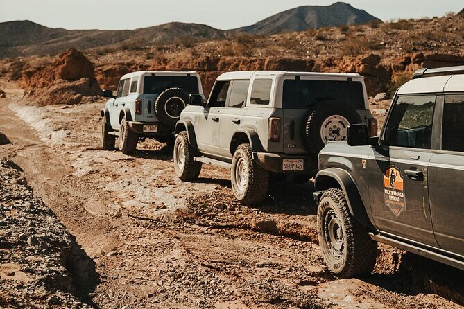 Las Vegas Guided Off-Road Adventure to Echo Bay Wash - What Travelers Can Expect