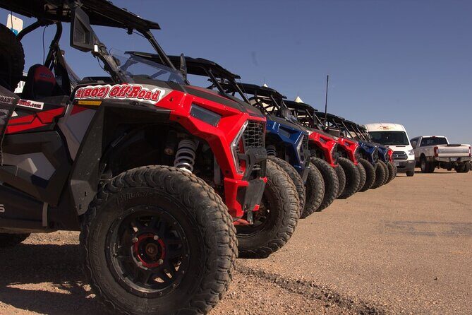 Las Vegas Mini Desert RZR Adventure - Authentic Reviews: What Travelers Are Saying