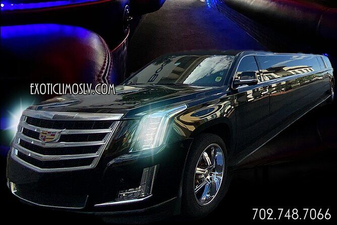 Las Vegas Strip Tours All Landmarks All Drinks Included - Who Will Love This Tour?