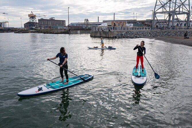 Learn to Paddle Board on the San Francisco Bay! - Final Thoughts: Is It Worth It?