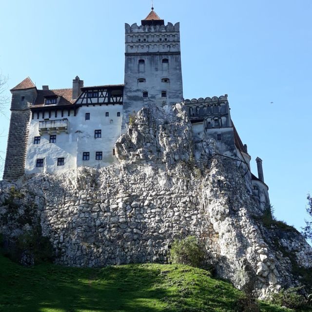 Legends&Wildlife Awaits: Dracula's Castle & Bear Sanctuary - Exploring Libearty Bear Sanctuary Zarnesti