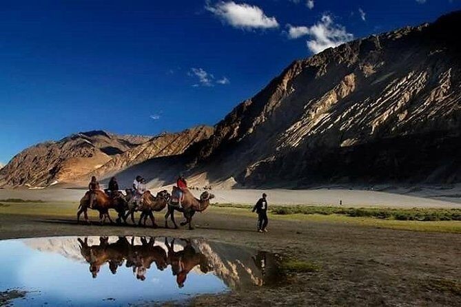 LEH LADAKH TOUR (5 Nights /6 Days) - The Value of This Tour