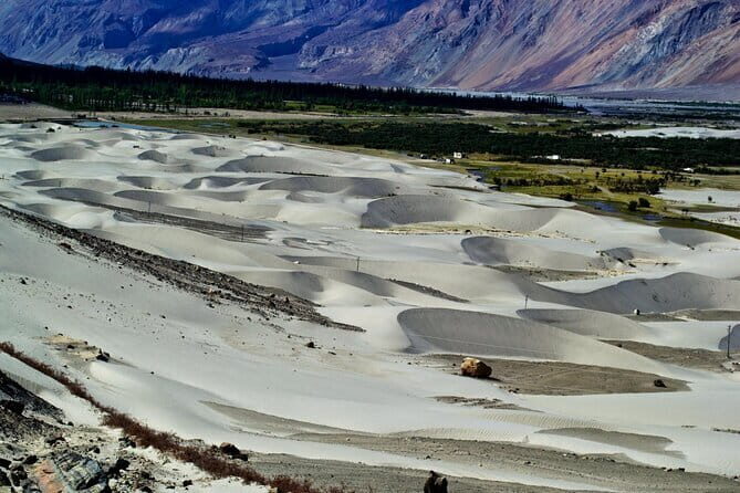 Leh to Nubra Valley Private Tour - Analyzing the Cost and Value