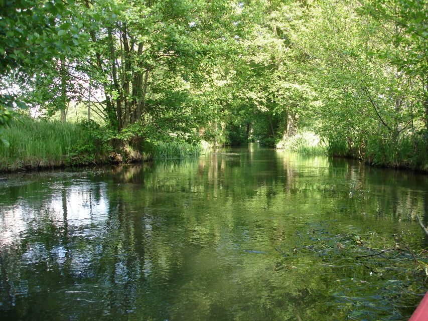 Leipzig: Riverside Forest Tour on the Pleiße - Who Will Love This Tour?
