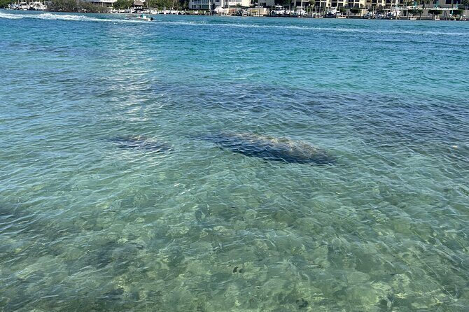 Lets Paddle! Jupiter & surrounding areas - Final Thoughts
