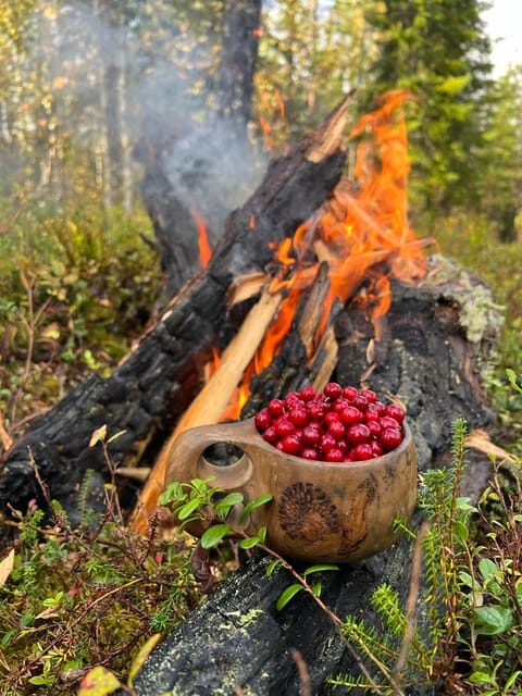 Levi: Autumn Hike and Reindeer Farm Visit - The Itinerary: What to Expect