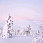 Levi: Explore the Wilderness - What’s Included and How It Works