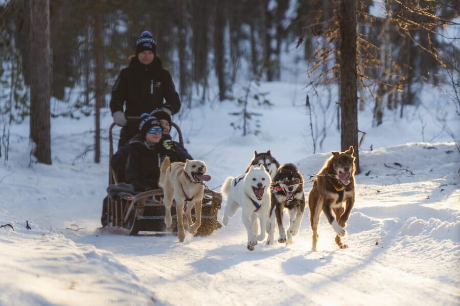 Levi: Forest Troll  Two-day Husky safari - The Itinerary in Detail