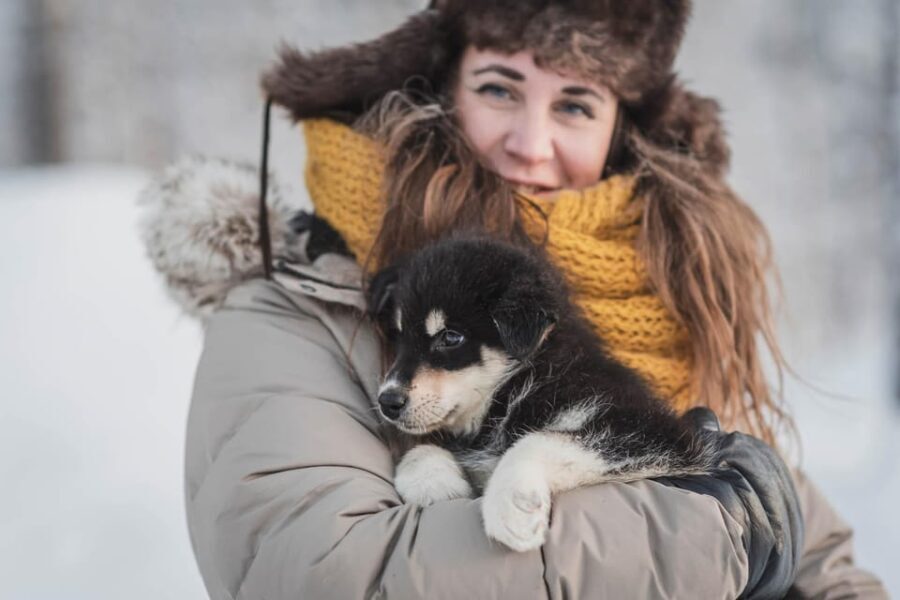 Levi: Horse and Husky Farm Visit with Juice and Cookies - Who Will Love This Experience?