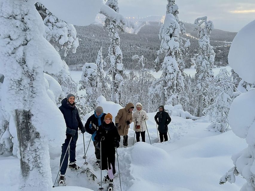 Levi: Lakeside forest snowshoeing - Who Should Consider This Tour?