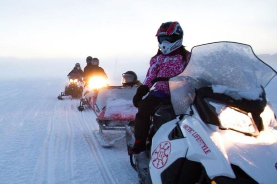 Levi: Lapland Family Snowmobile Safari - Pricing and Overall Value