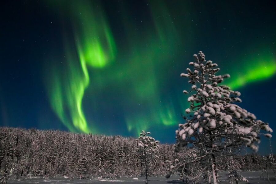 Levi: Northern Lights Campfire - The Itinerary: What to Expect