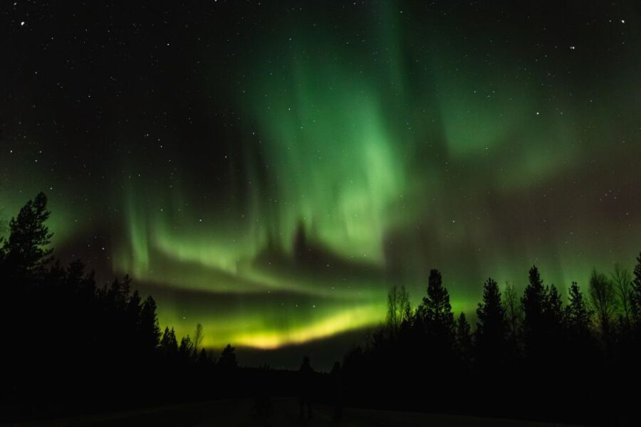 Levi: Northern Lights Hunting Photo Tour - Analyzing the Value for Travelers