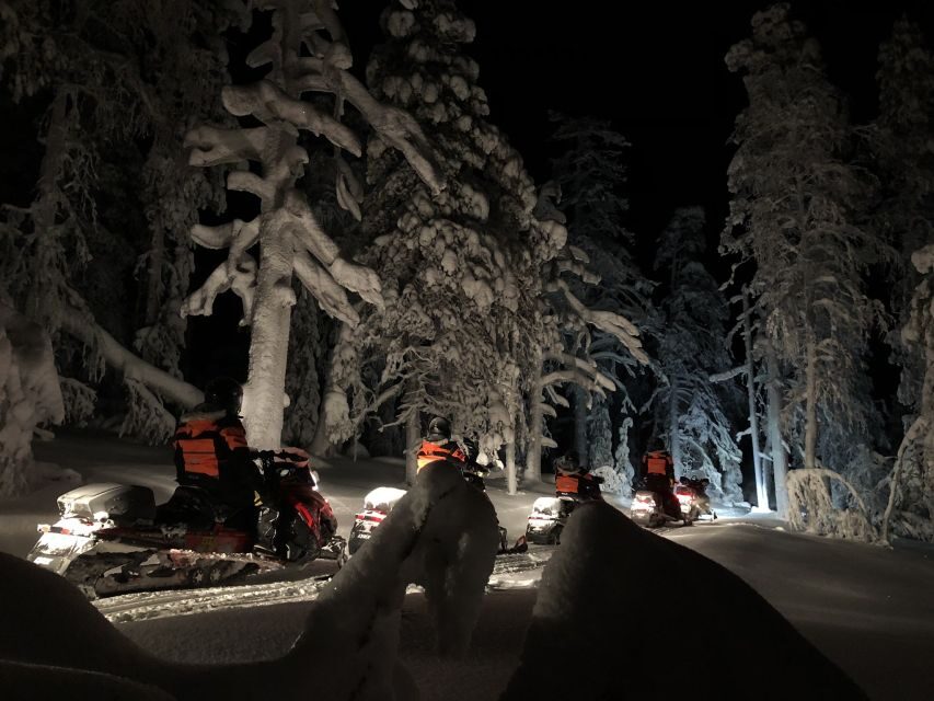 Levi: Northern Lights Snowmobile Tour with Snacks and Drinks - Who Will Enjoy This Tour?